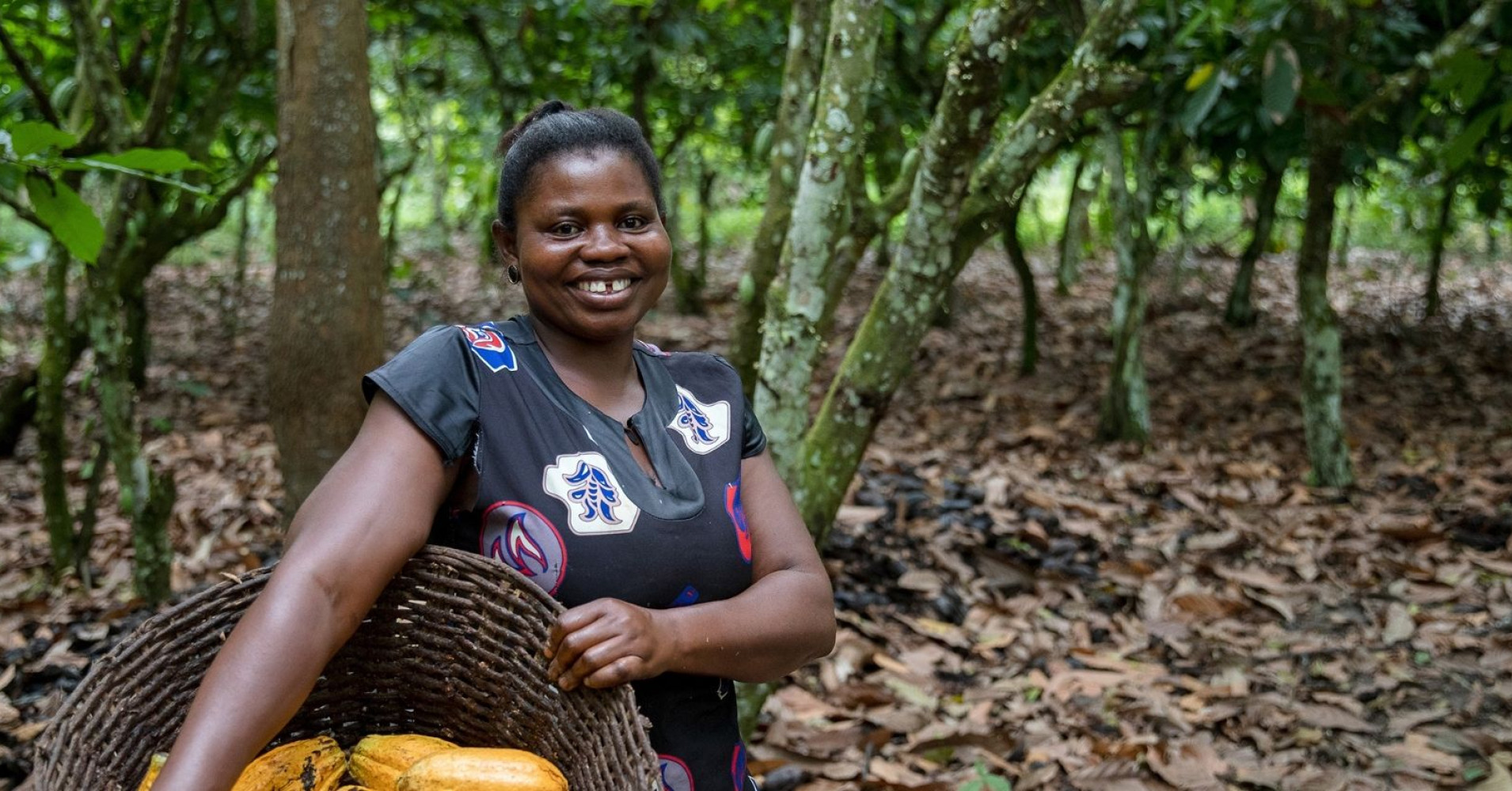 Sustainability Pathways with Fairtrade: Unlocking Equality and Climate ...