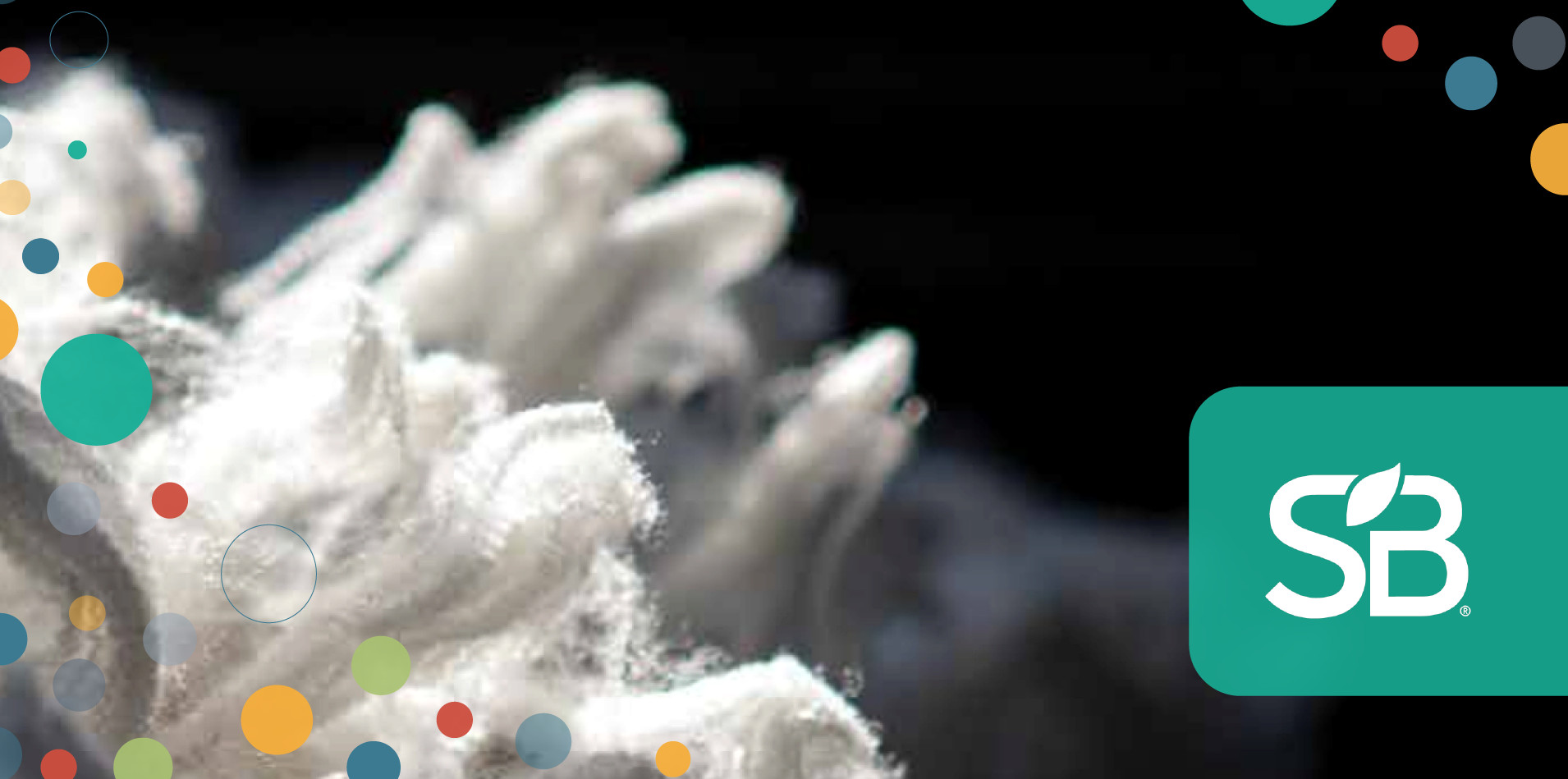 icebreaker Aims to Prove Its Apparel Is ‘Made Different’ with New ...