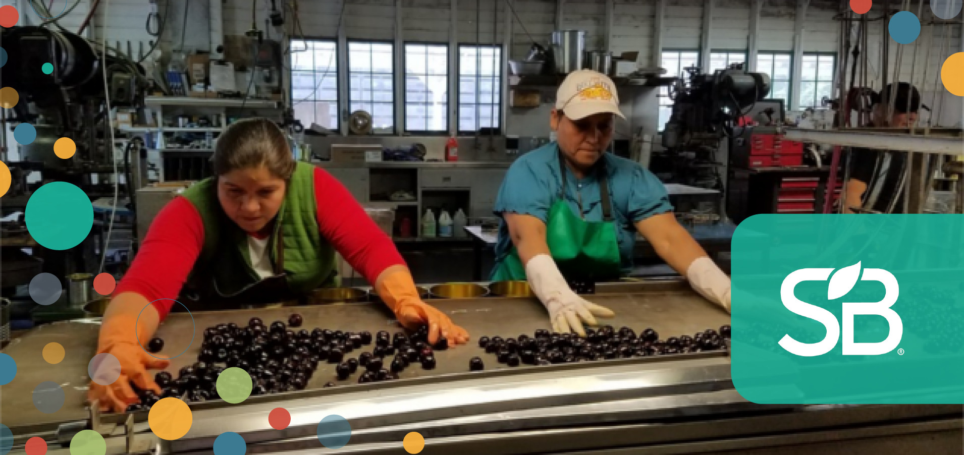 Safety First: NSF and the Quest for Global Food Sustainability