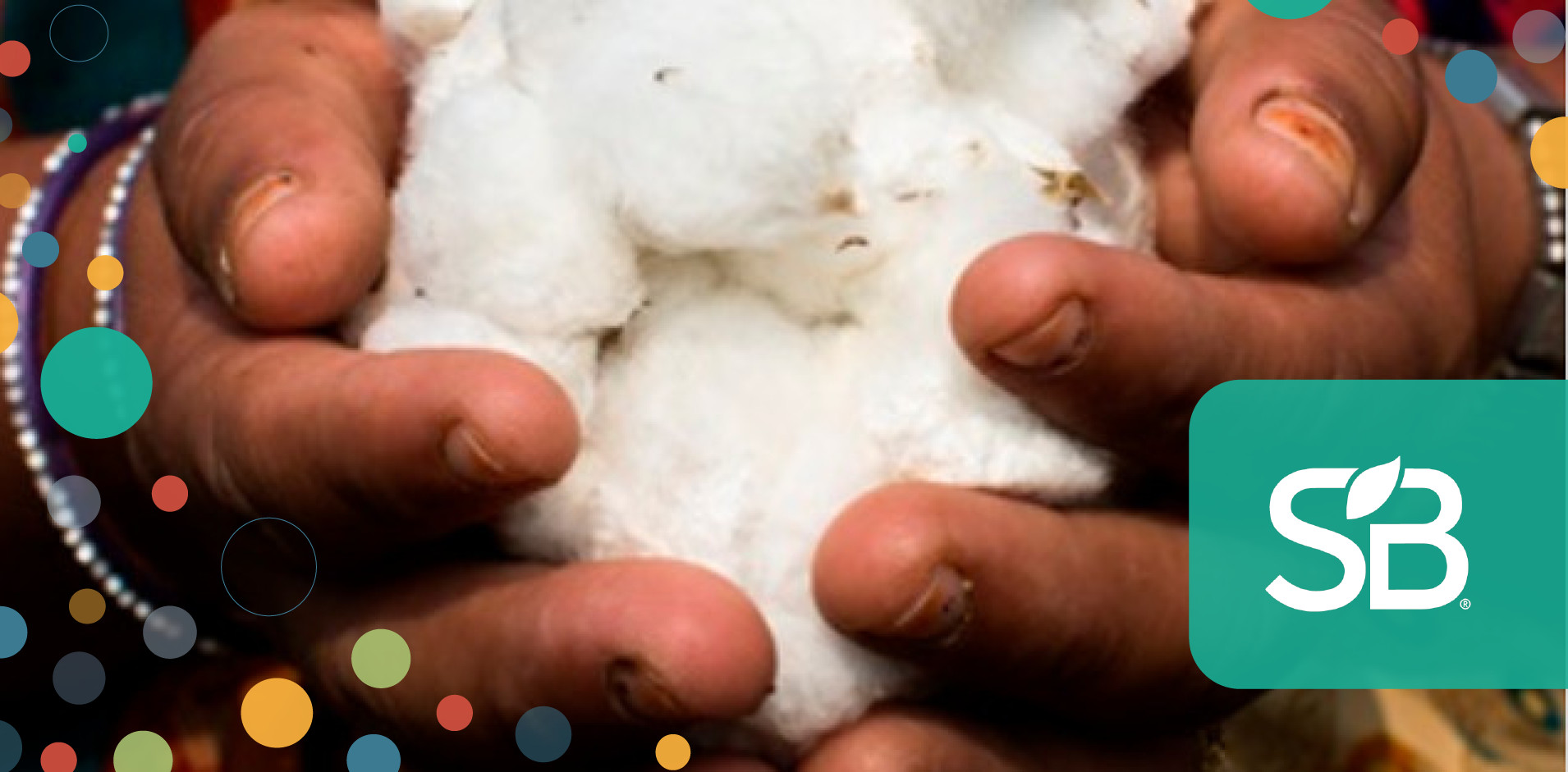 How a Practical Guide to Sourcing Sustainable Cotton Could Help ...