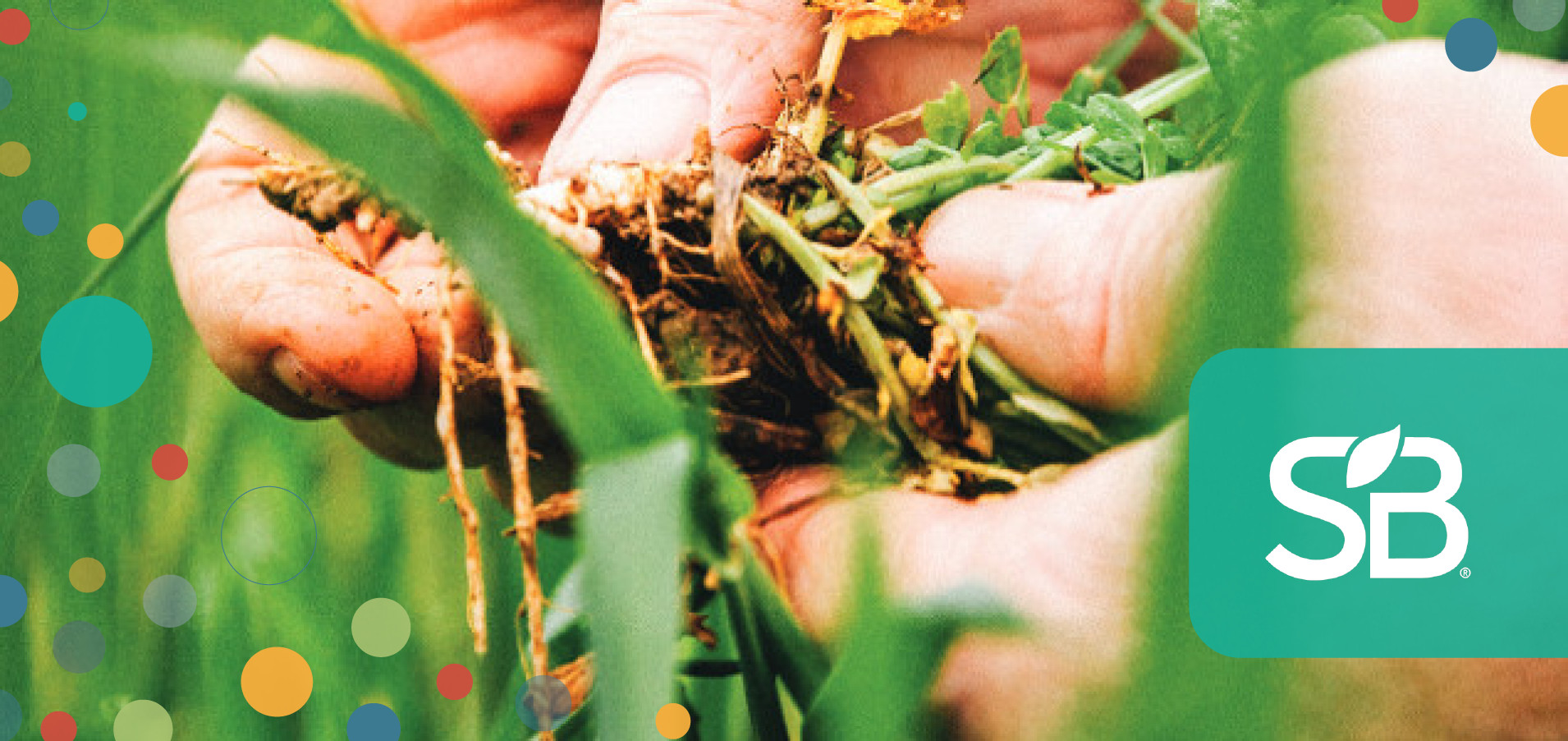 Q&A: How Wrangler, MyFarms Plan to Leverage Field-Level Sustainability Data