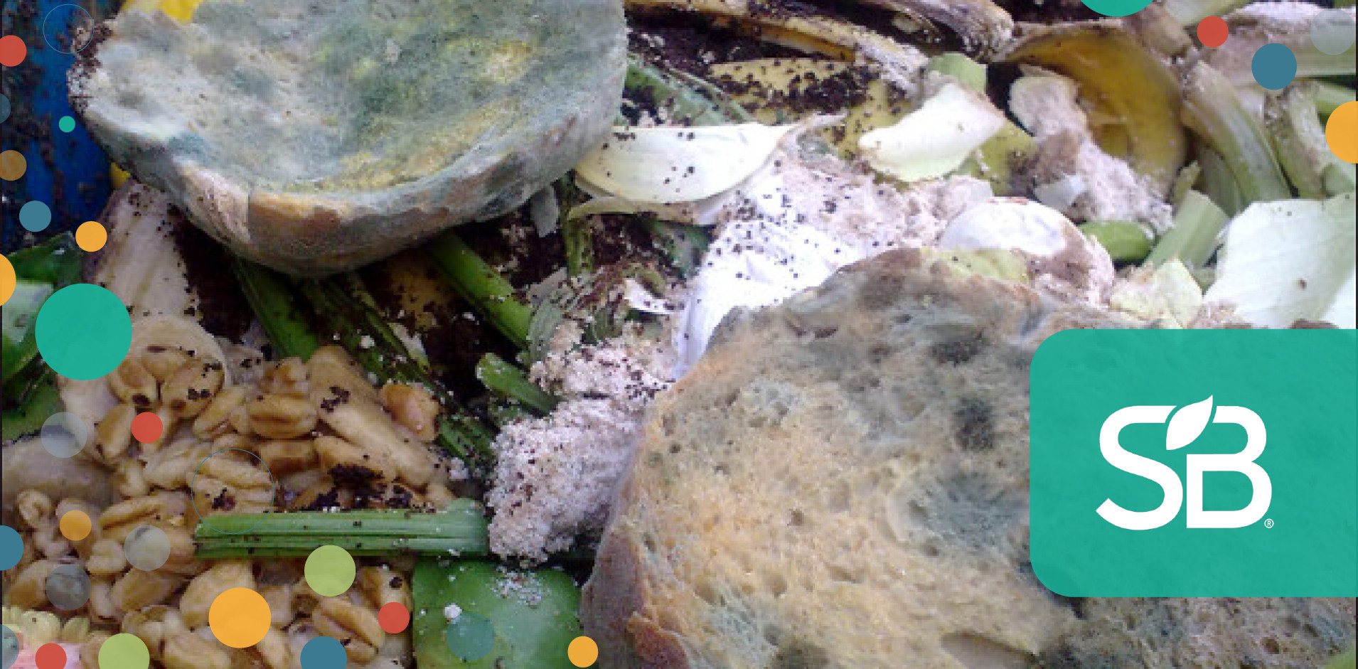 Interactive Calculator Reveals True Cost of the Food We Waste