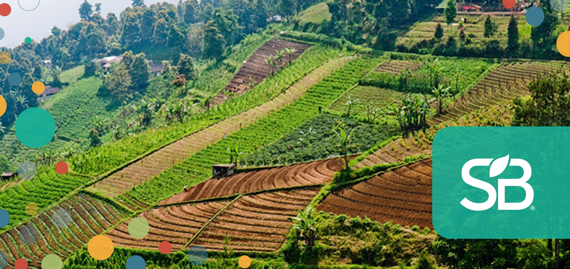 New SALSA Platform to Promote Sustainability in Agri-Business Across SE ...