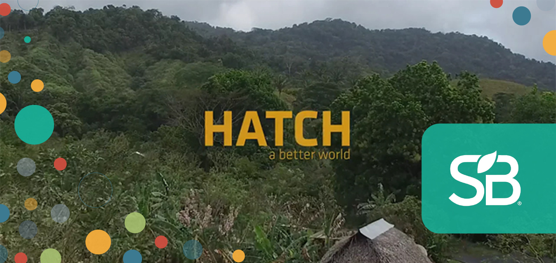 How We’re Working with Sustainable Brands to HATCH a Better World