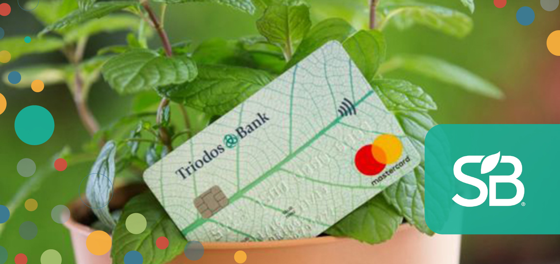 Triodos Bank Is Taking Sustainable Banking Mainstream in the UK