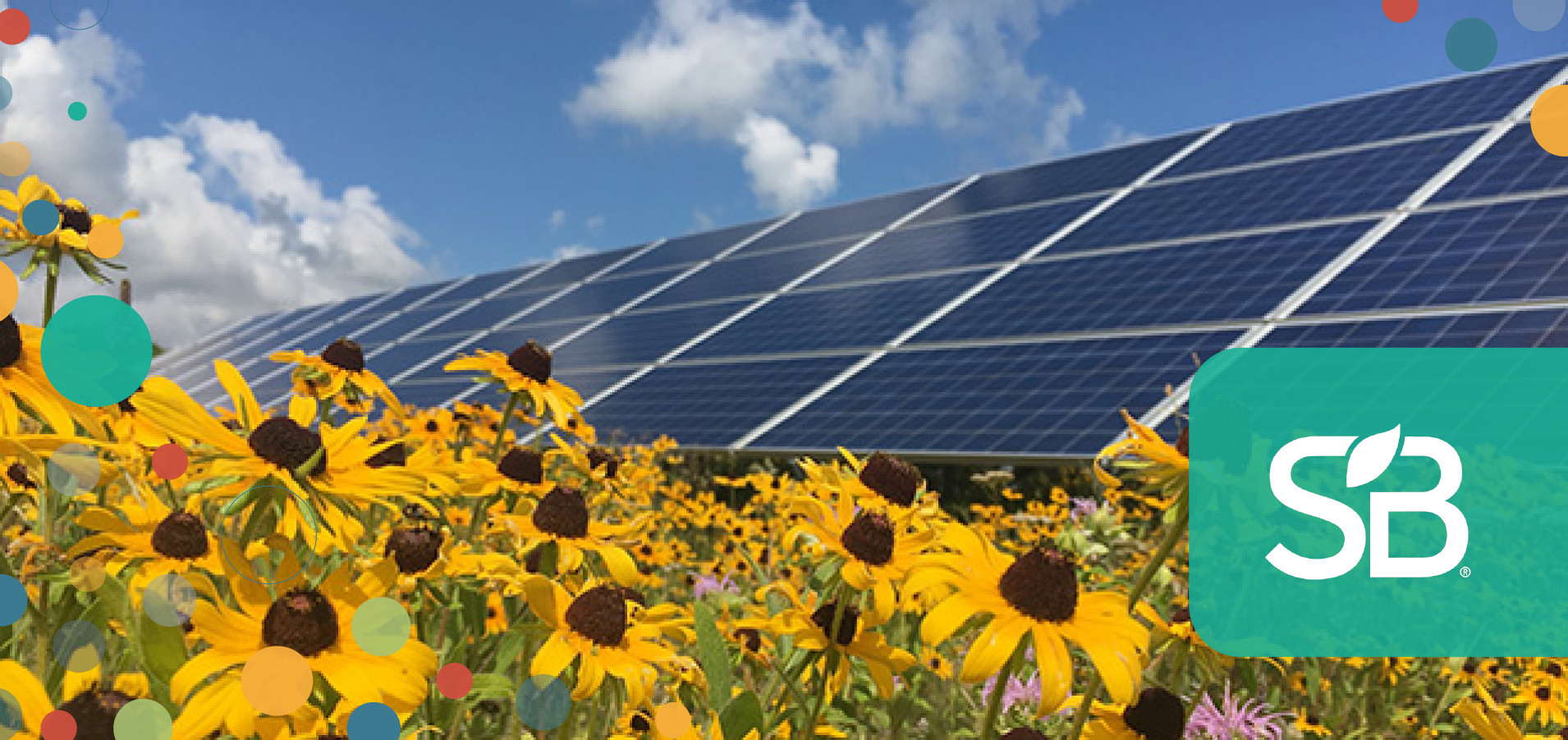 Pollinator-Friendly Solar Arrays in Minnesota Now Commercially Produce ...
