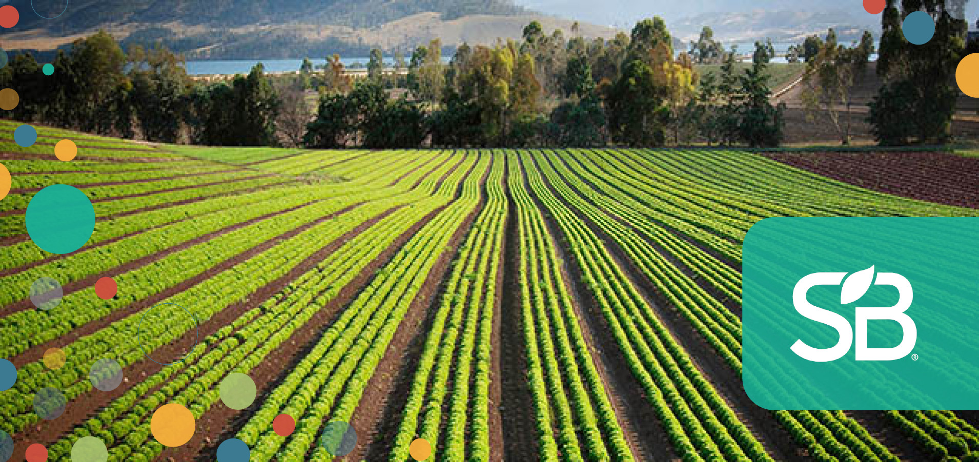 Q&A: Tim Greiner on the Key Players in the Sustainable Agriculture ...