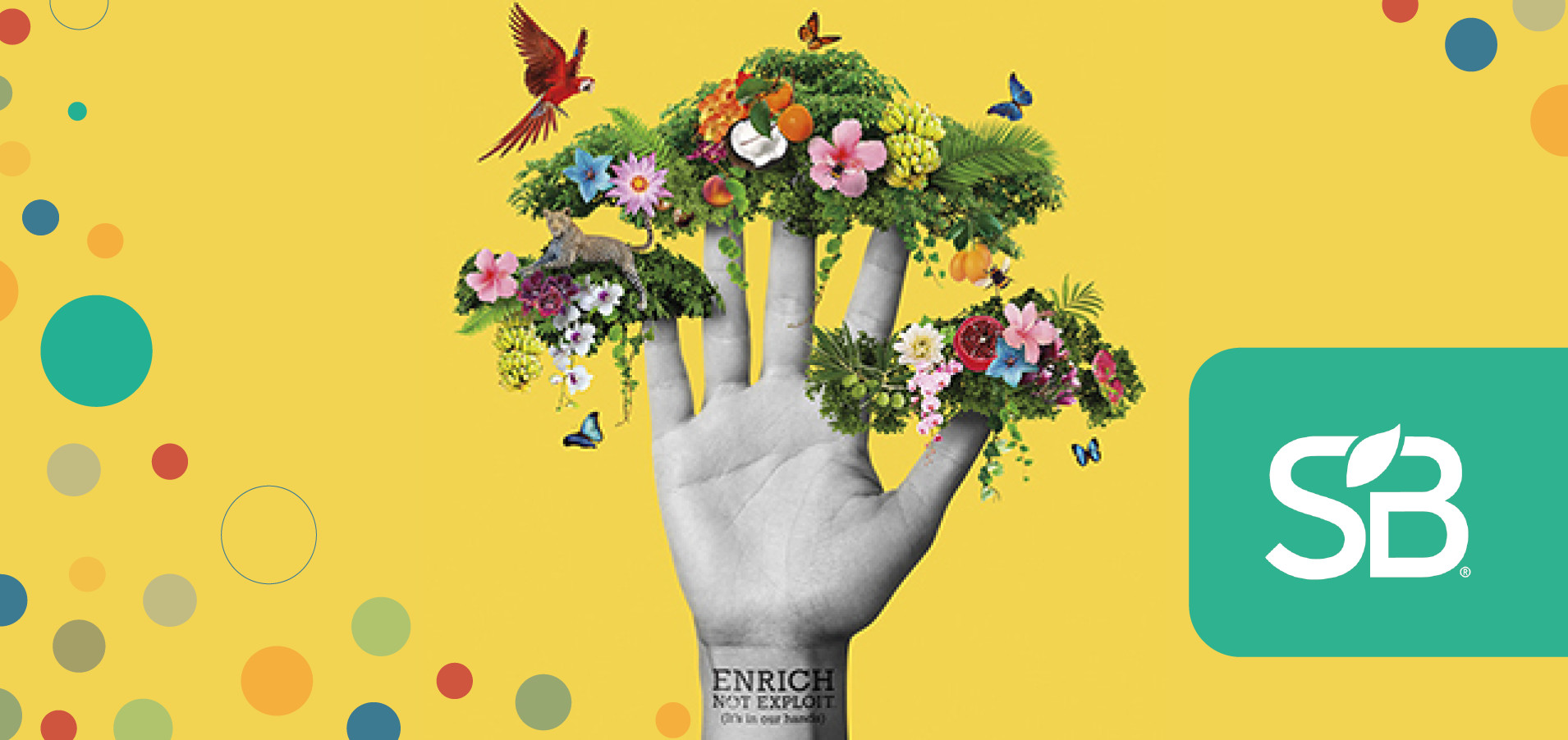 The Body Shop Progresses on Renewables, Traceability, Fossil-Fuel-Free ...