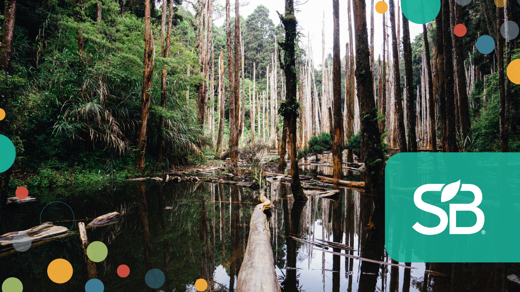 Natural Capital Protocol Toolkit Aims to Help Companies Better Assess ...