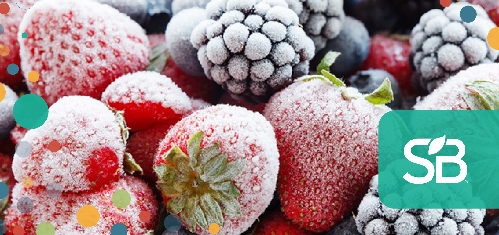 Trending: Emerging Tech Poised to Slash Food Waste Across the Value Chain