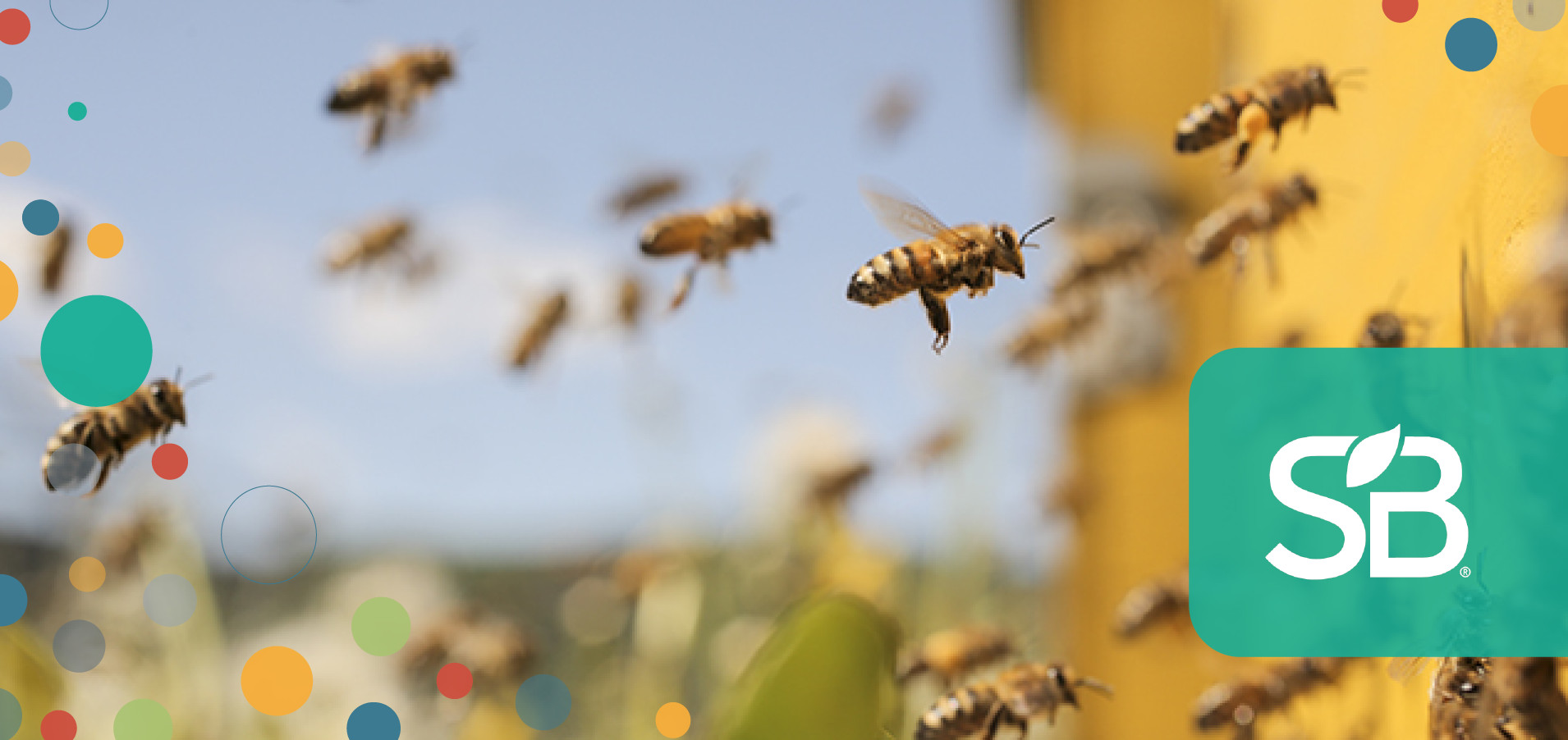 How Companies Brought Attention to the Pollinator Decline