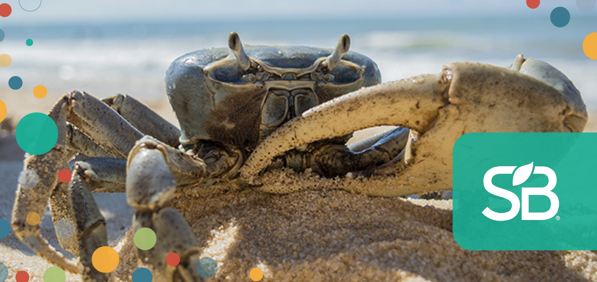 Trending: Mezcal, Crab Shells Fuel Circular Solutions for Food Waste ...