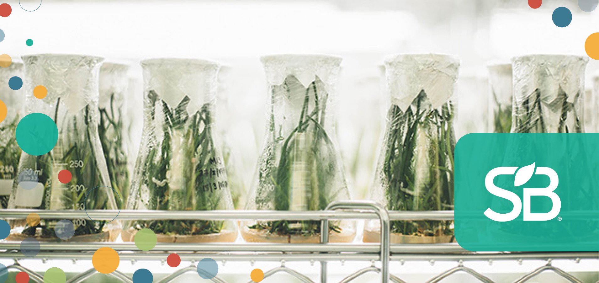 CDP: Chemical Companies Must Do More to Meet Paris Agreement Goals