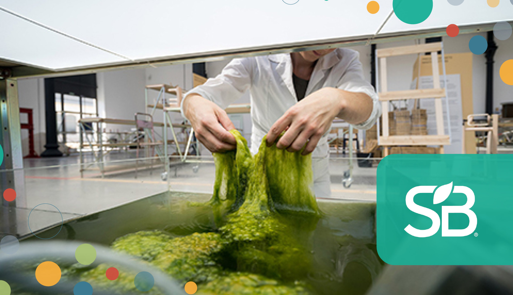 Trending: Algae, Ocean Plastics Pave the Way for More Sustainable ...