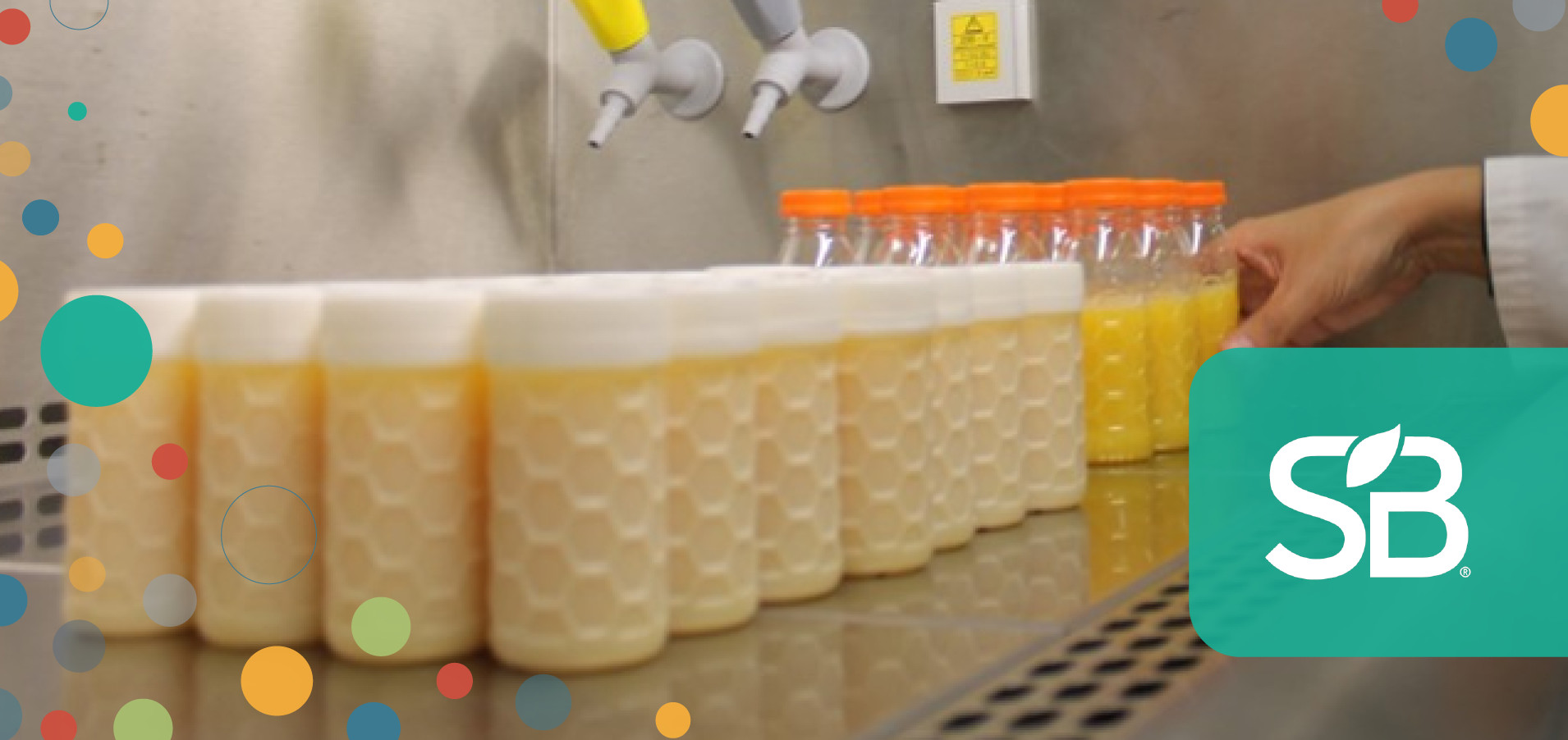 Bioplastic Advancements Show Promise for Biodegradable Milk, Juice ...