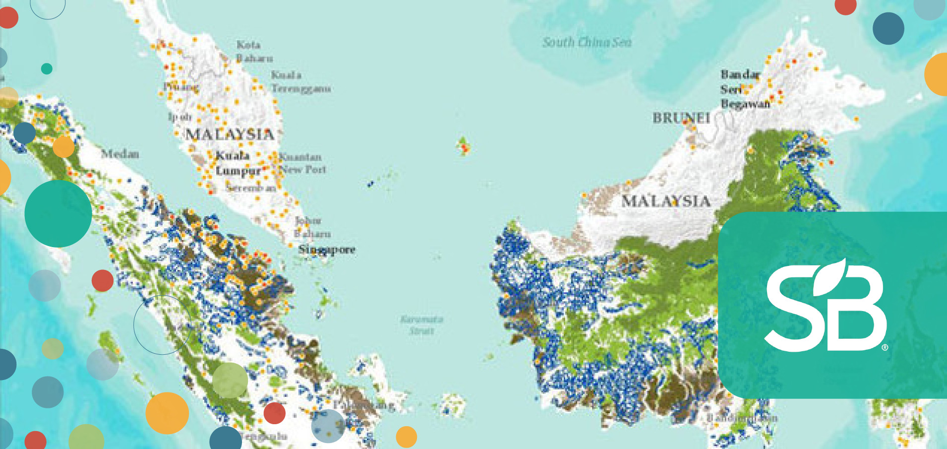 How Increasing Transparency Can Help Prevent Further Devastation in ...
