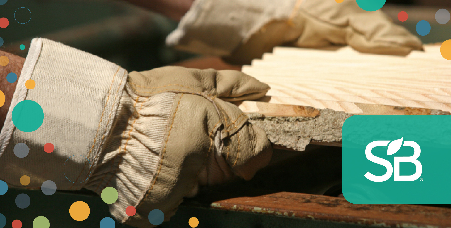 FSC Certification Creates Competitive Advantages, Raises Standards in ...