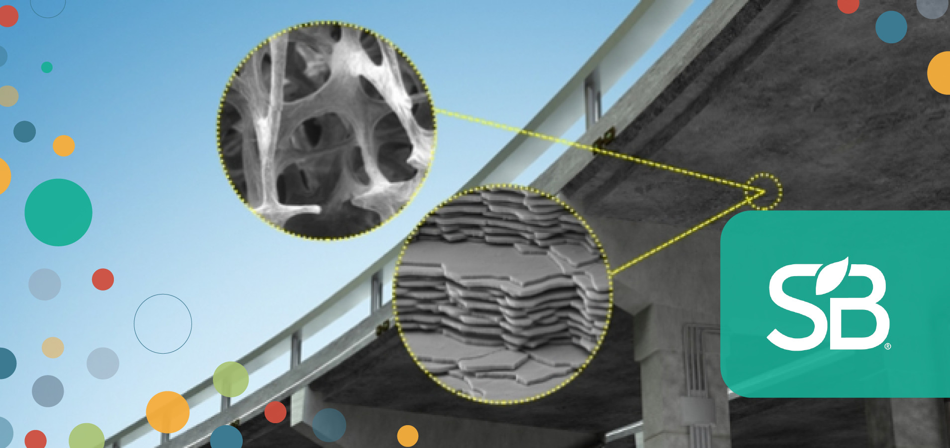 MIT Researchers Look to Bones, Sea Sponges as Blueprints for Stronger ...