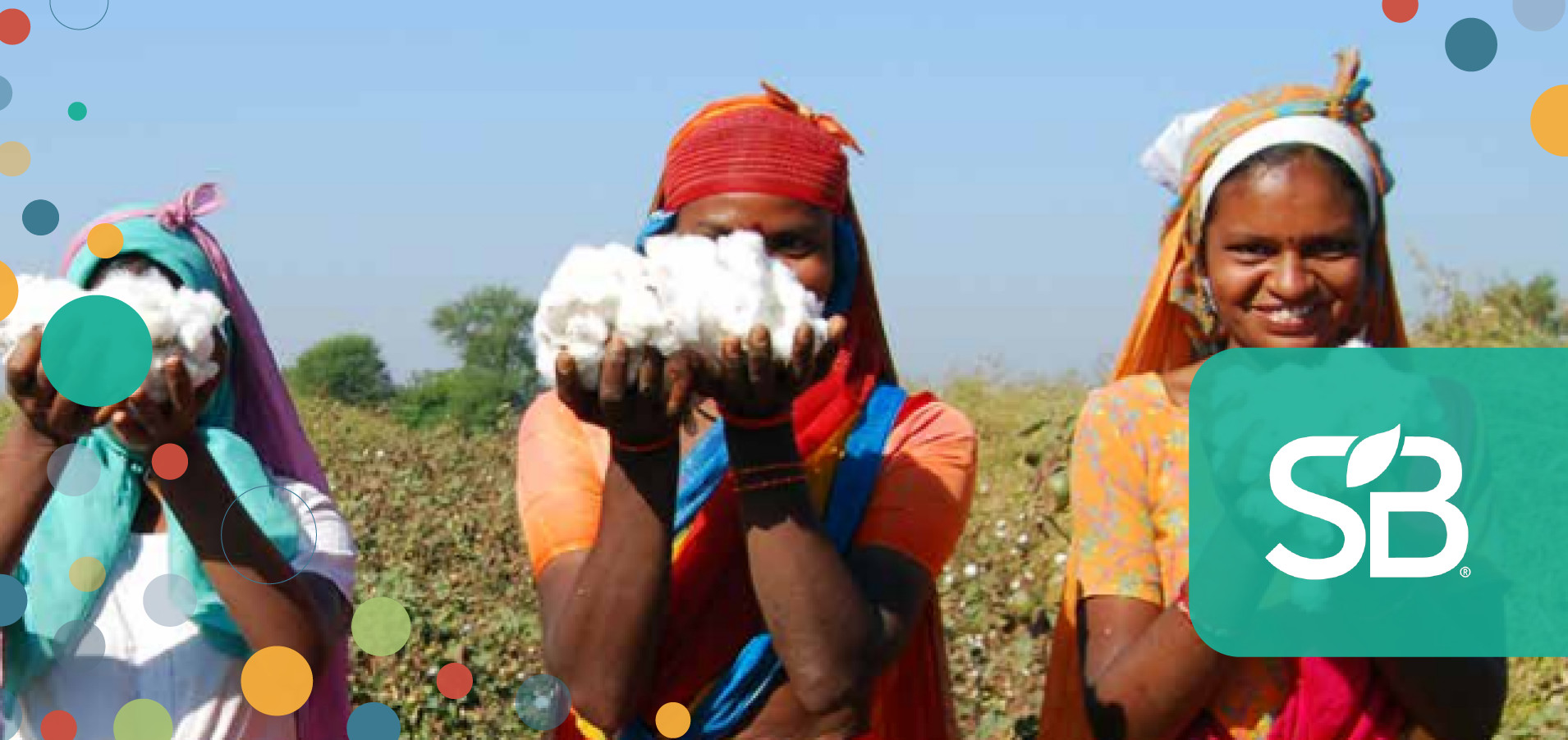 Of Top Cotton Users, Over 75% ‘Appear to Do Virtually Nothing’ on ...