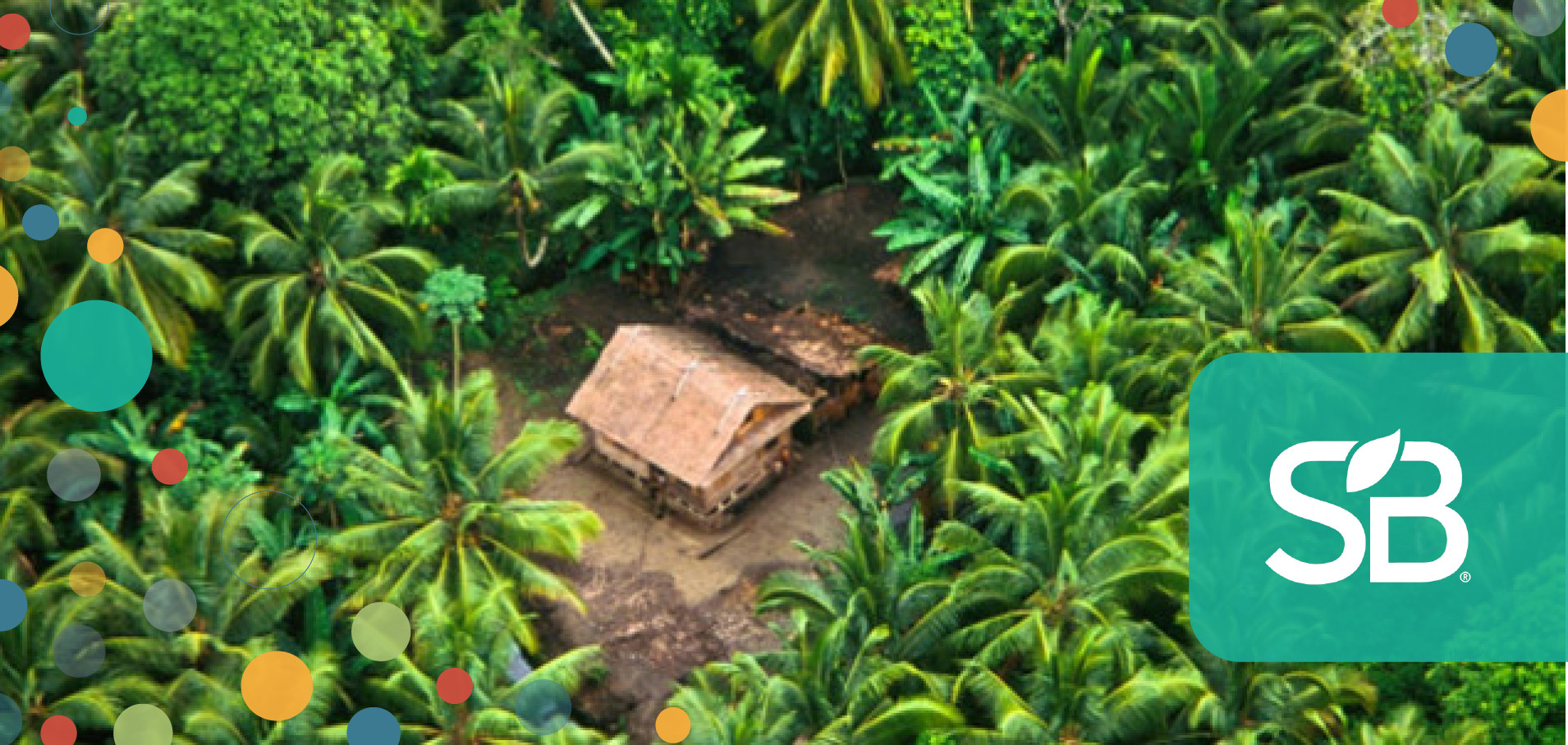 Why the UN's REDD+ Program Needs More Short-Term Focus