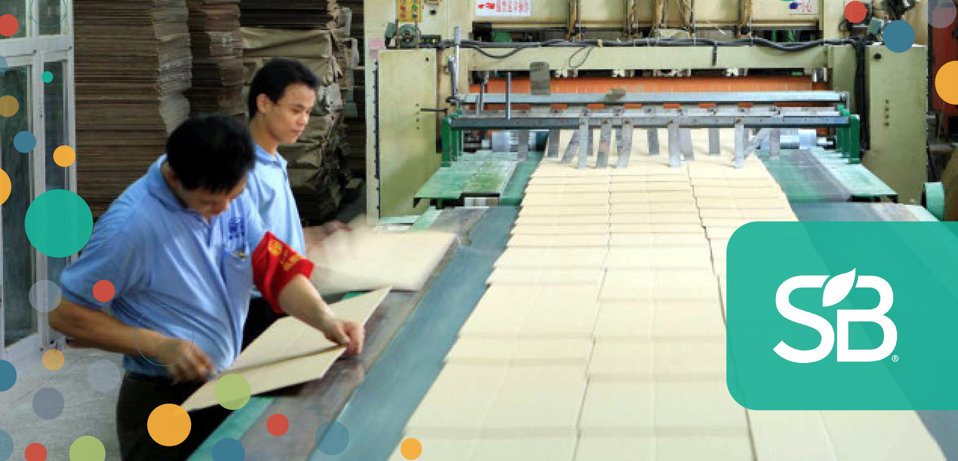 New LCA Framework Offers Cutting-Edge Transparency for Forest and Paper ...