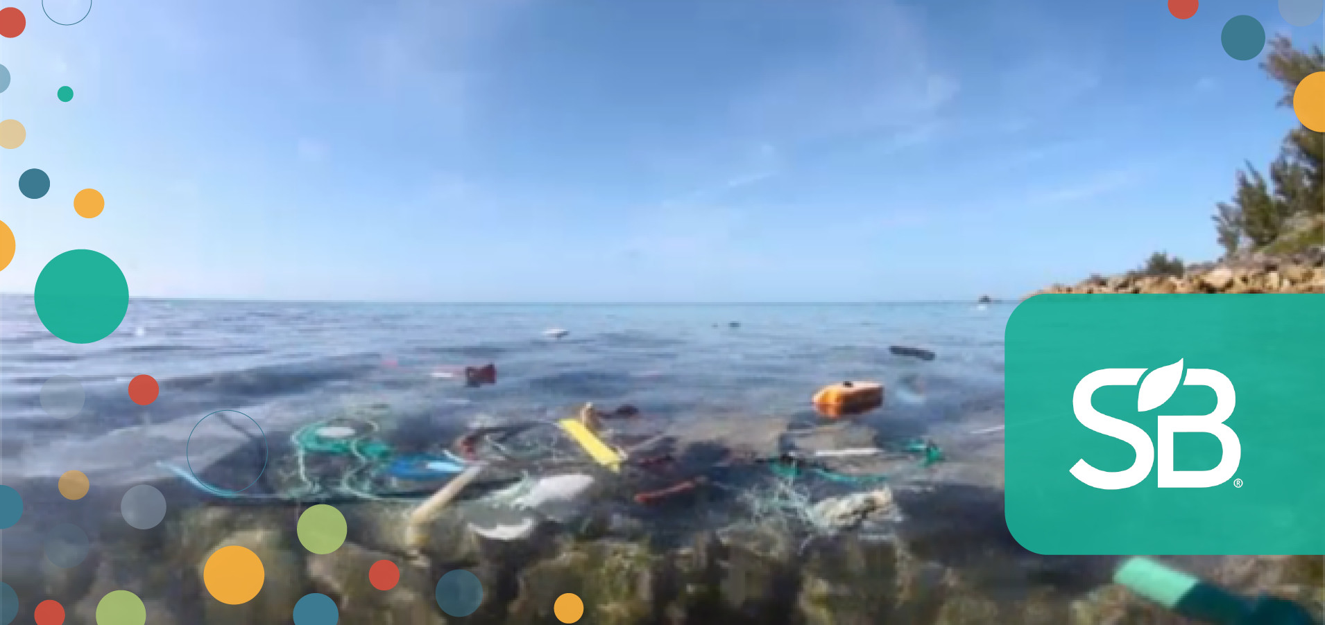 New Film Drives Home Impacts of Single-Use Plastics on Oceans, Wildlife ...