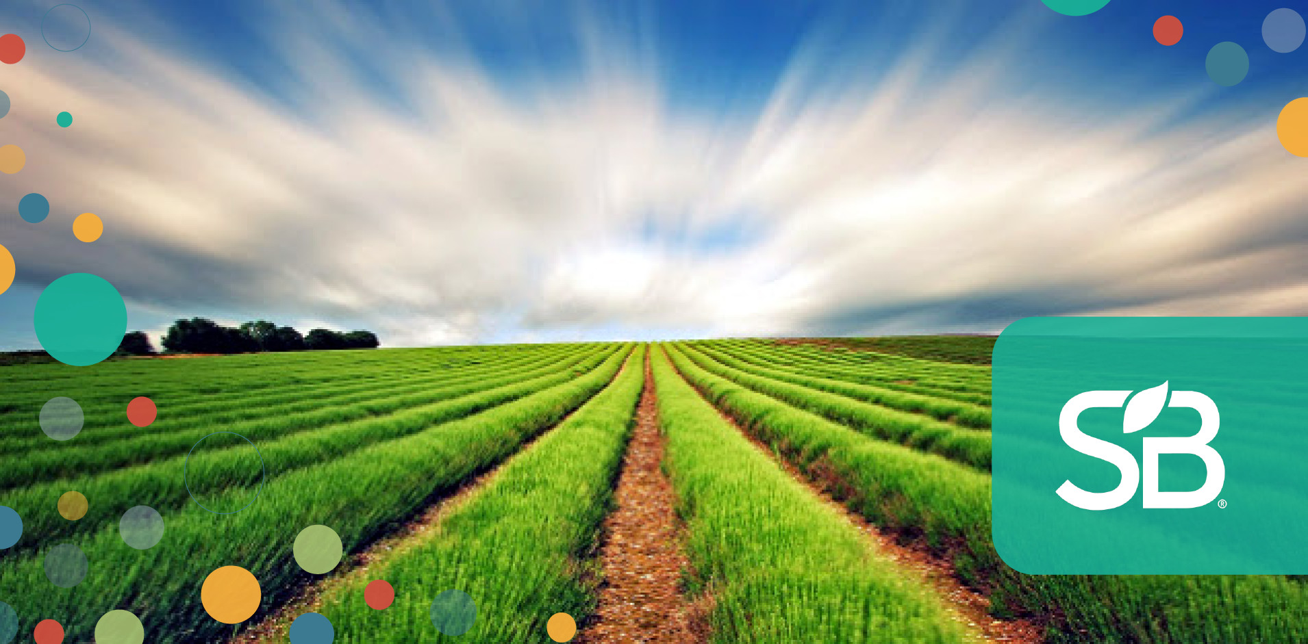 SDG 2: New Agri-Business Alliance Aims to Tackle Global Food Security ...
