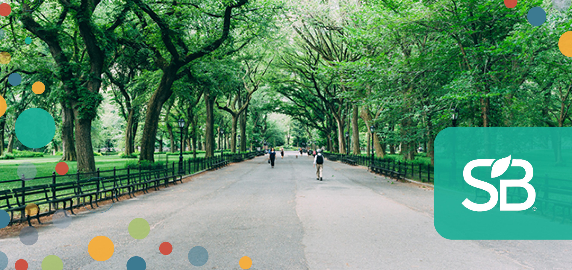 New York City’s Street Tree Map Proves Ecological, Economic Benefits of ...