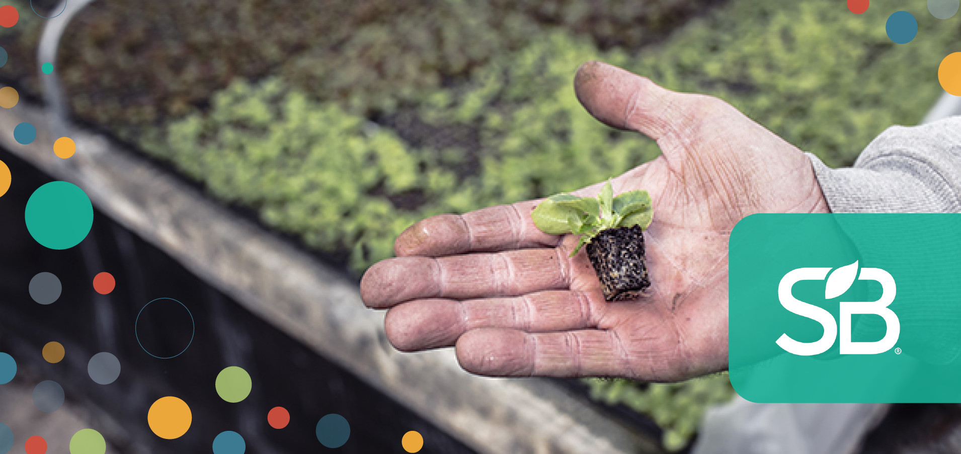 The SDGs: Who Is Leading the Way One Year Later?