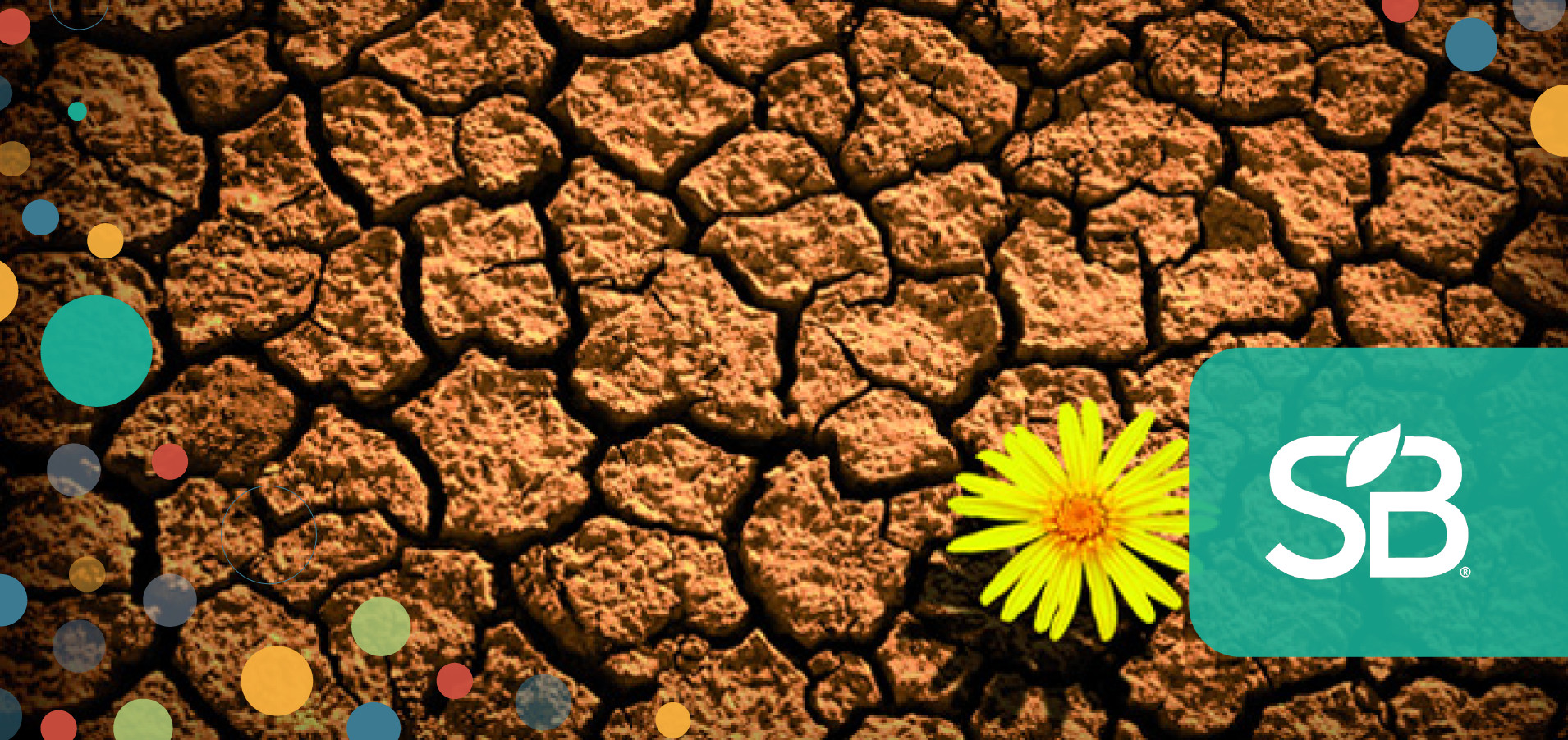 Creating Brands of Enduring Value: The 5 Trends Shaping CMO Success in 2015