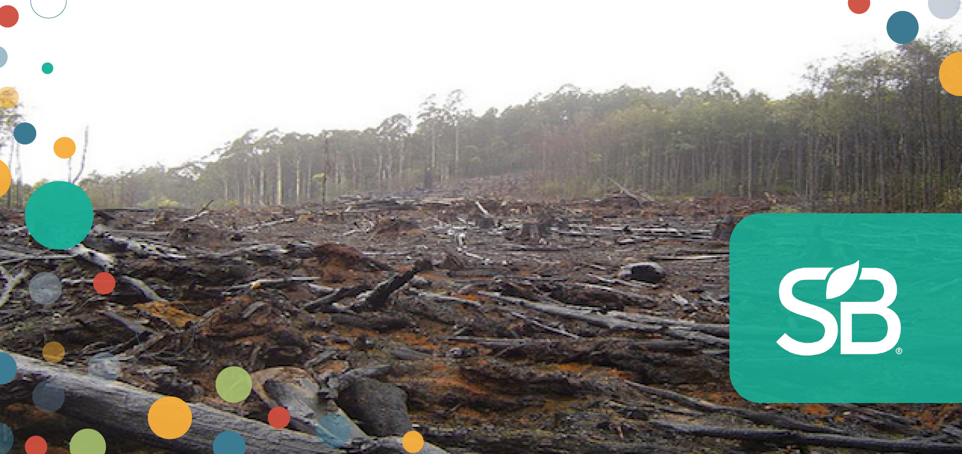 Danone, Unilever Among 6 Major Companies With Comprehensive ...