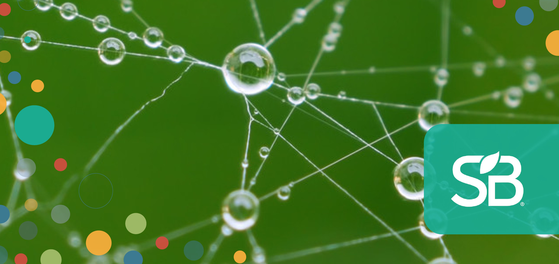New Biomimicry Center, Graduate Degree Programs Put ASU at Forefront of ...
