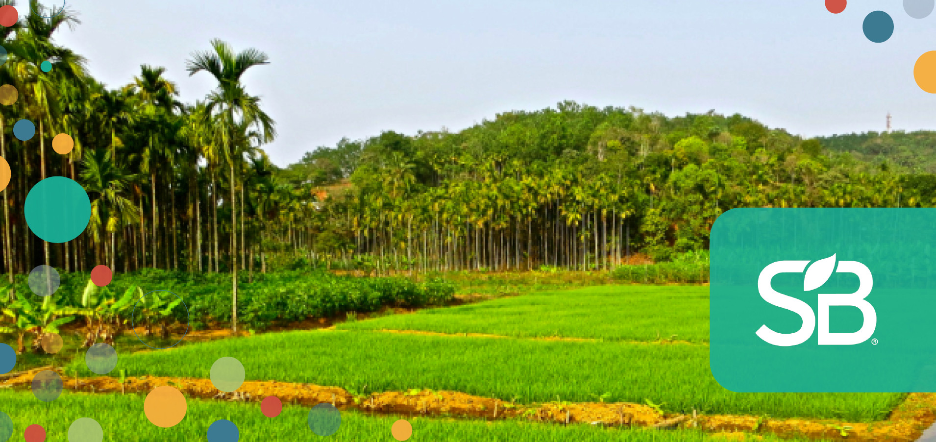 Past, Present and Future: The Road to a Sustainable Agricultural Sector