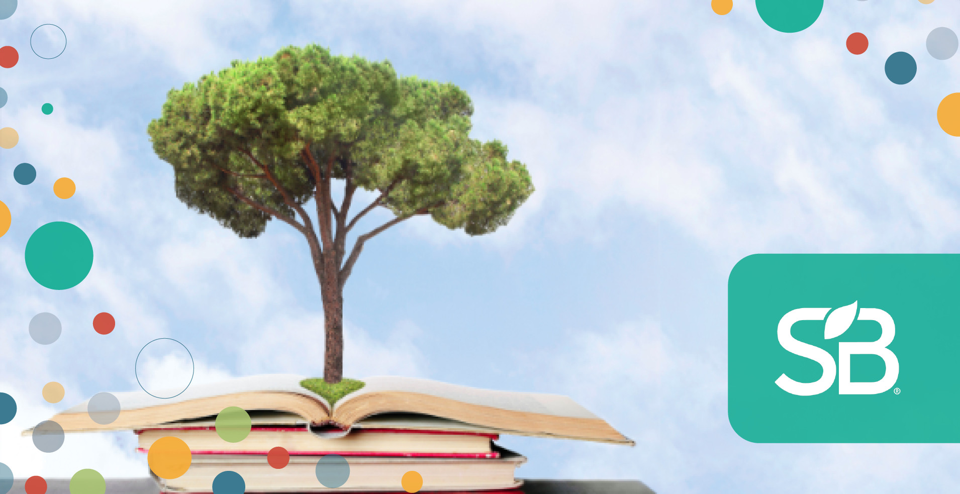 What Does the Future of Sustainability in Academia Look Like?