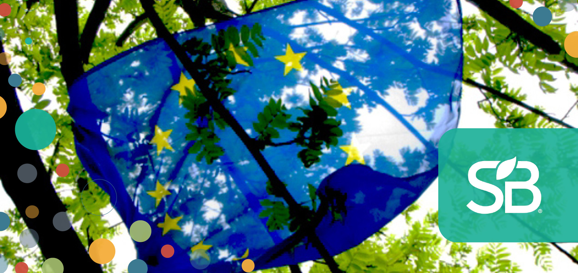 Why Transparency and Collaboration Are Vital to the European Commission ...