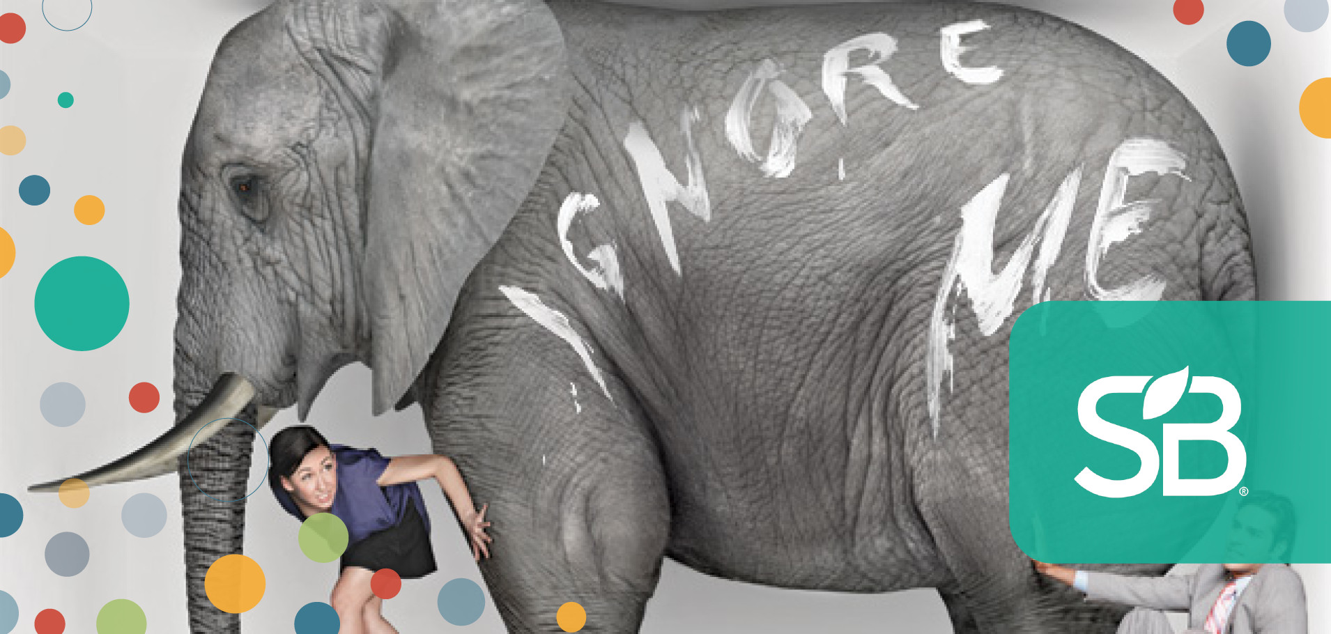 Sustainability Context: The Elephant Is the Room