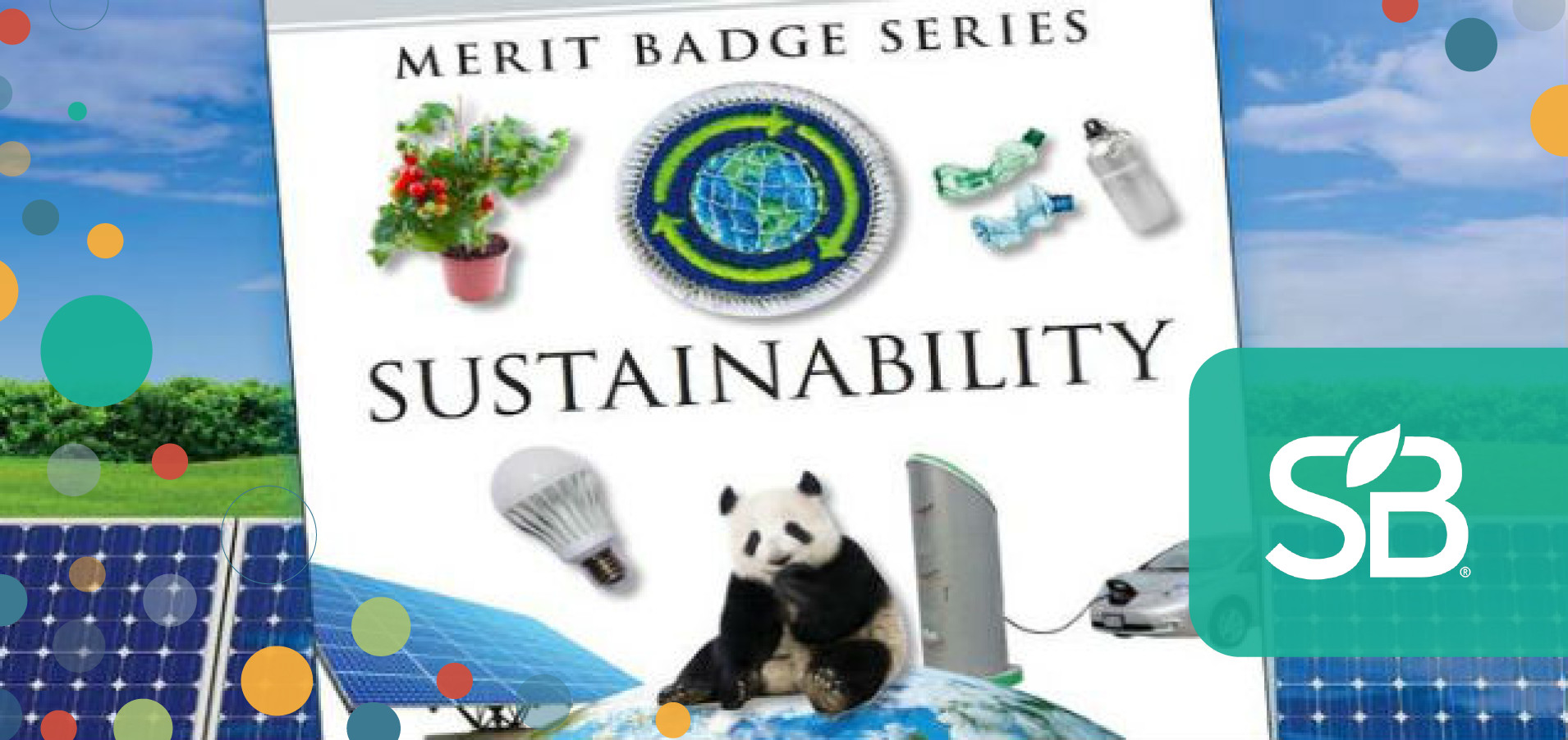 More Than a Badge: What We Can Learn About Sustainability From the Boy ...