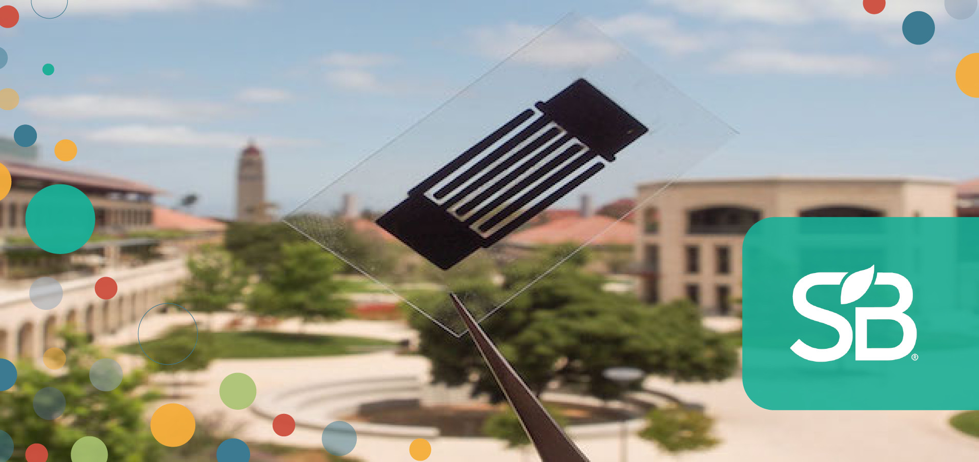 Stanford Scientists Create ‘Designer Carbon’ That Improves Battery ...