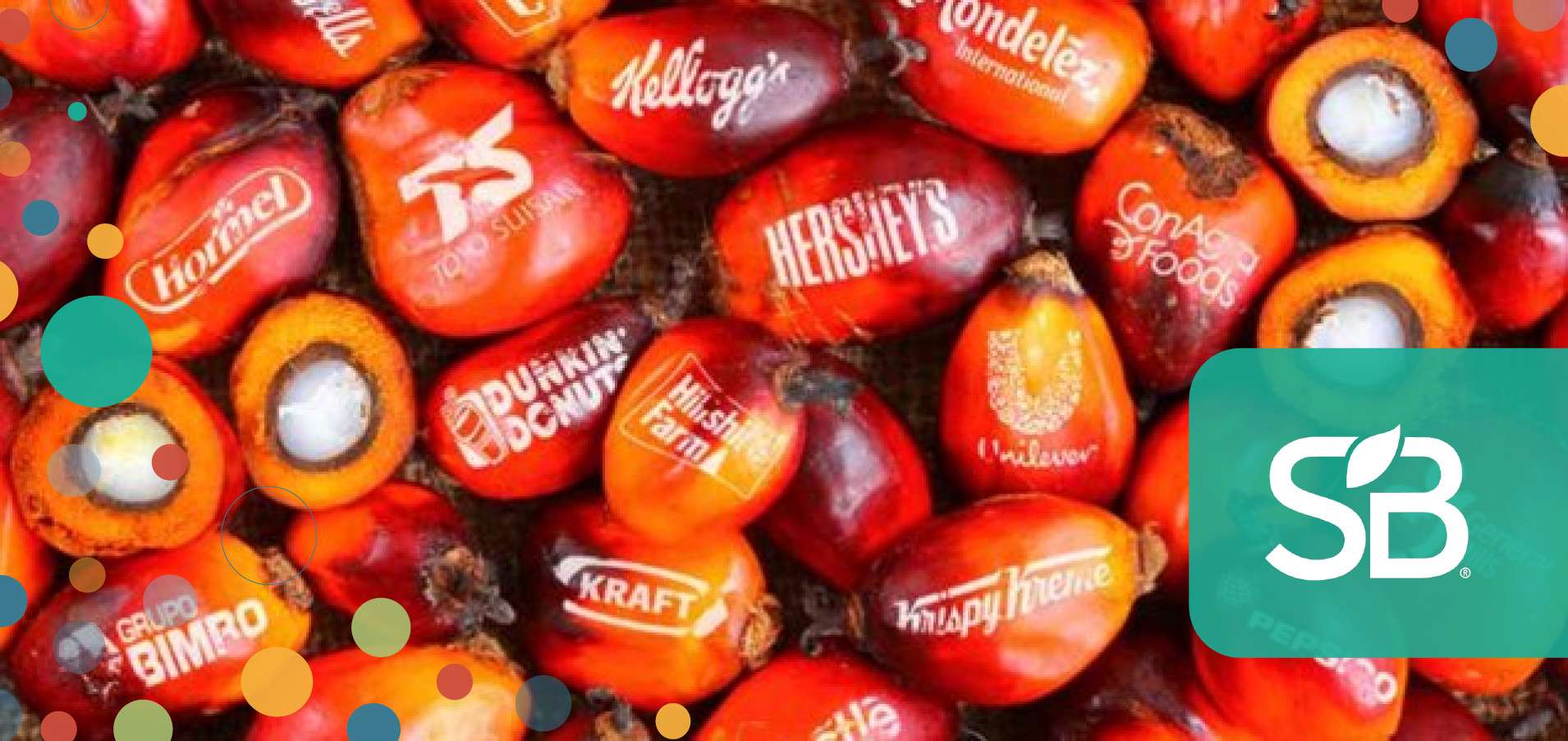 Conflict Palm Oil Progress Report Calls Out Major Snack Food Brands for ...