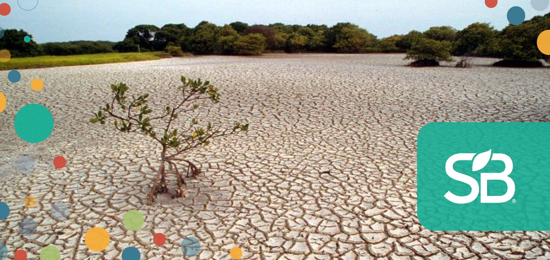 COP21, Global Inequality, Resource Scarcity Among 15 'State of Play ...