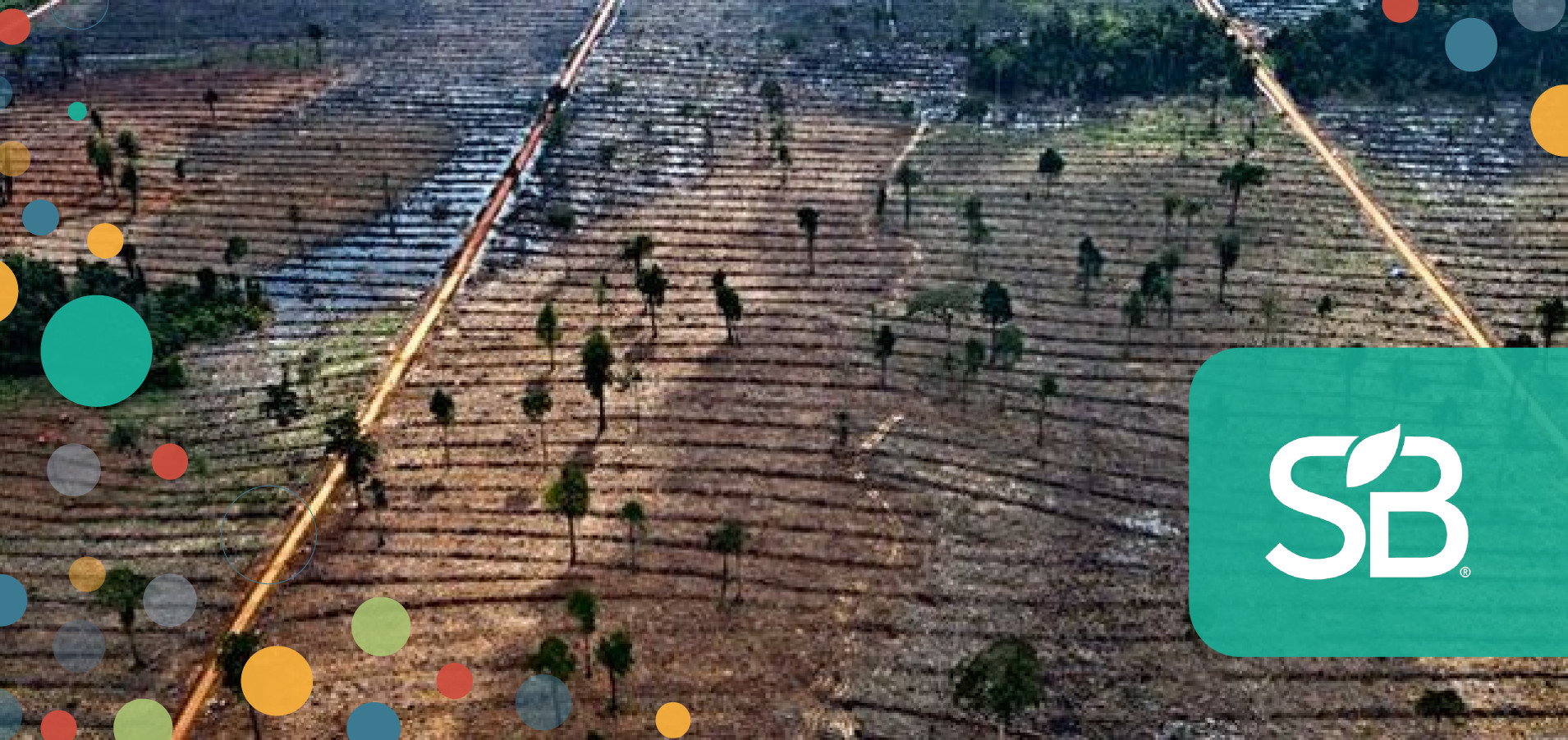 The Business Case for Zero Deforestation