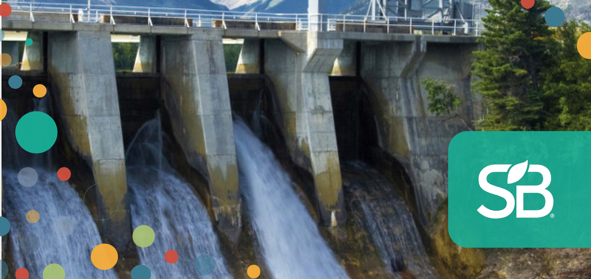 WRAP, CDP Reveal Global Companies Leading in Waste Reduction, Water ...