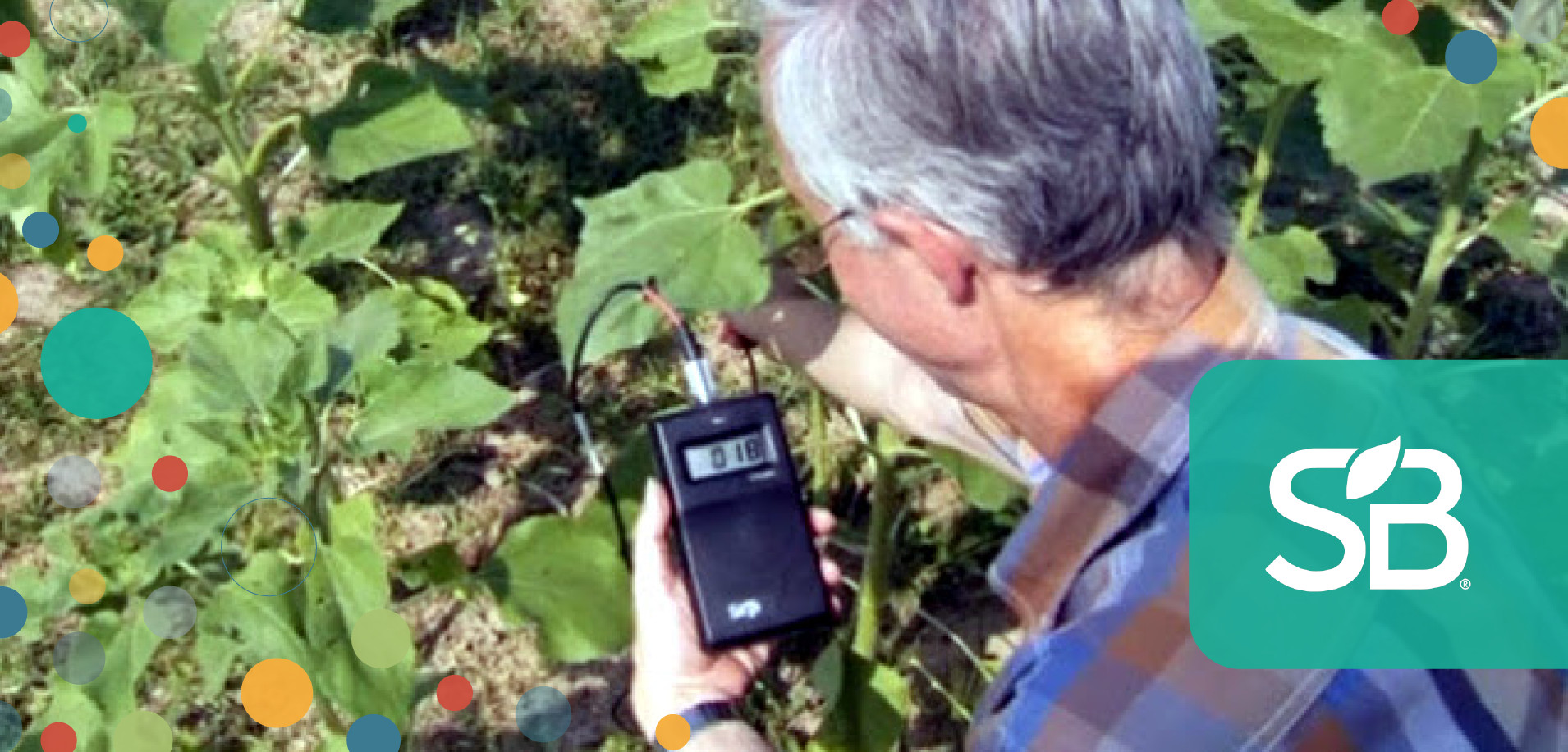 Trending: Researchers Finding Food Waste, Phytomining Could Yield Plant ...