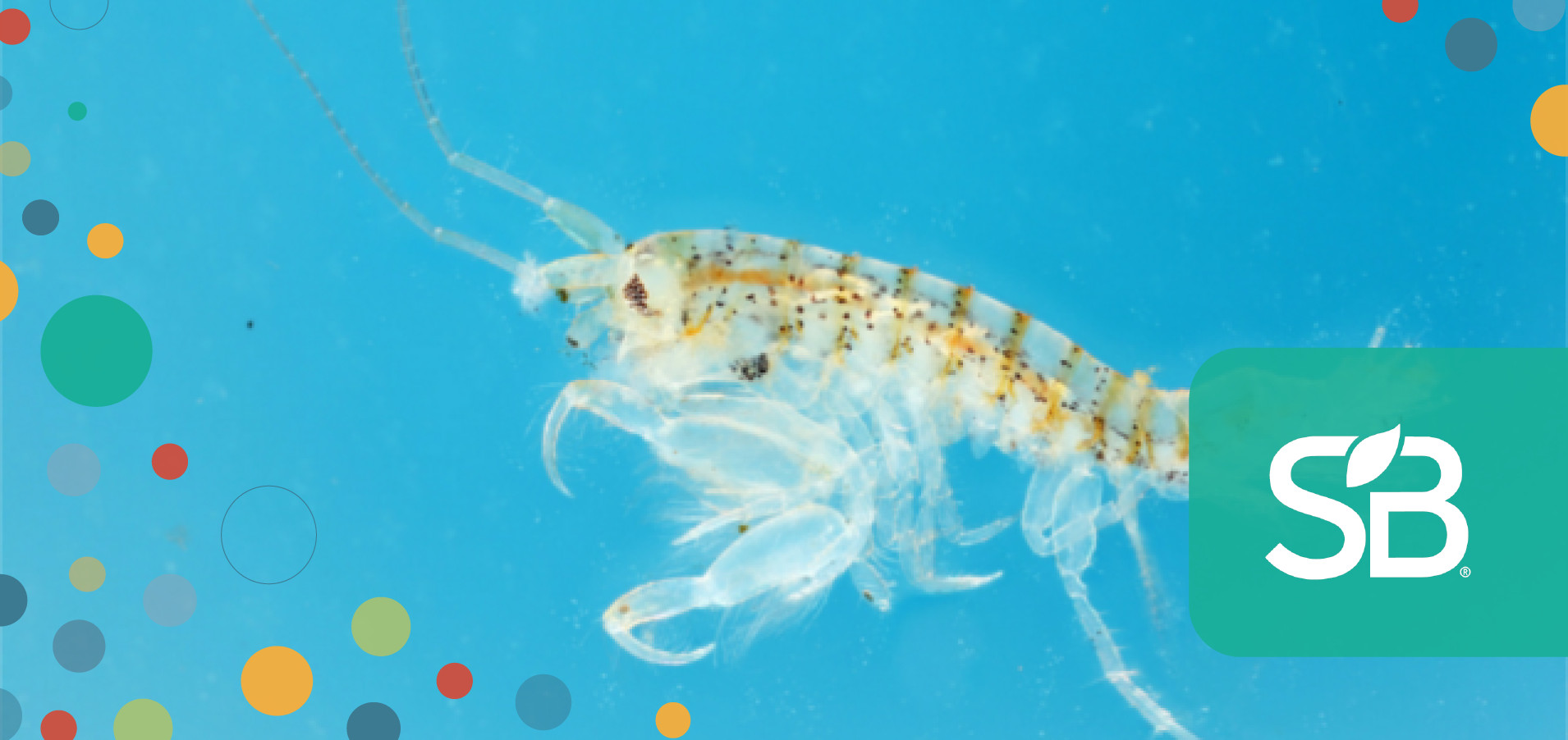 What Really Matters is FiFo – Fish-in, Fish-out