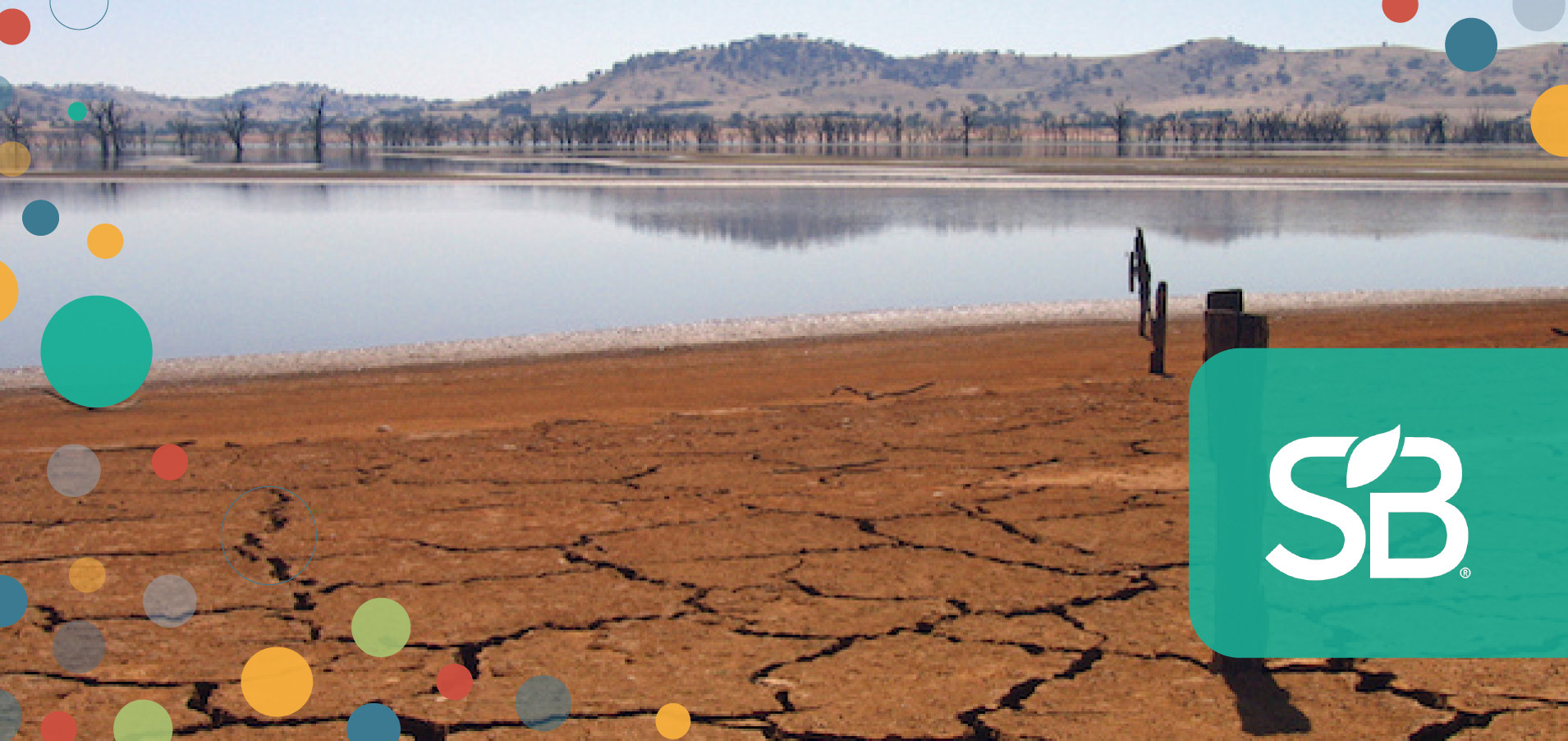 UC Scientists Test Drought-Fighting Method to Capture Californian Rainwater