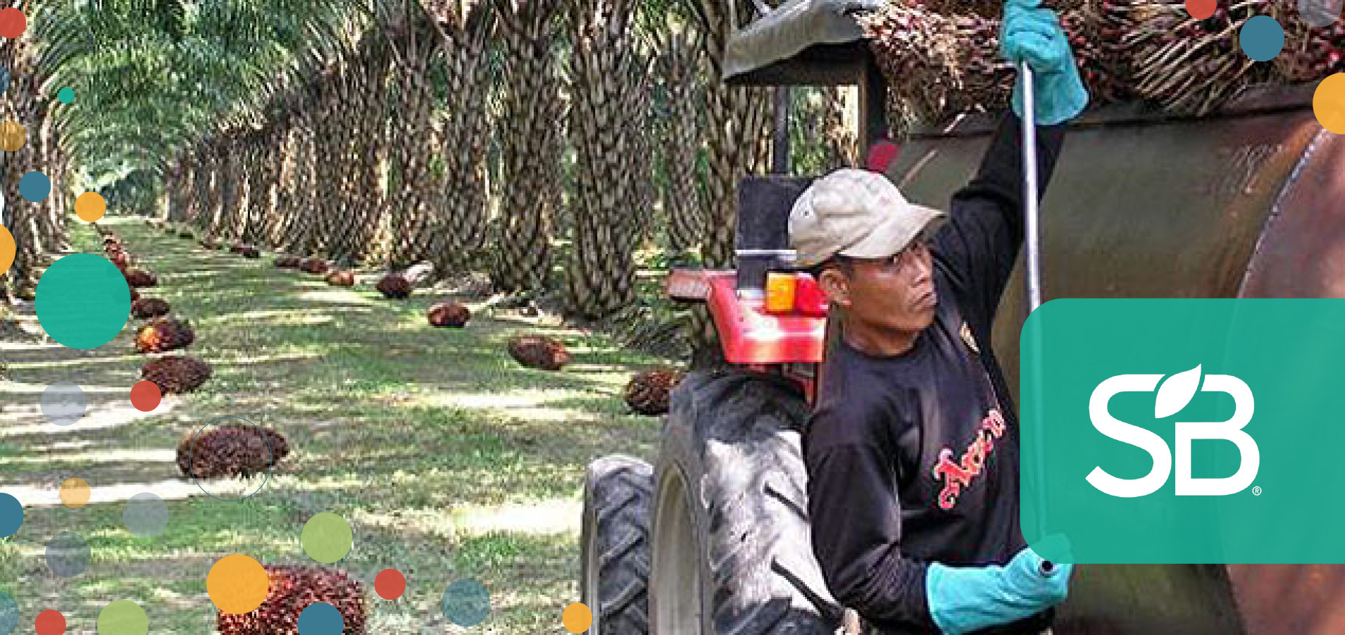 L’Oréal Expands 'Sharing Beauty with All' Sustainability Pledge to ...