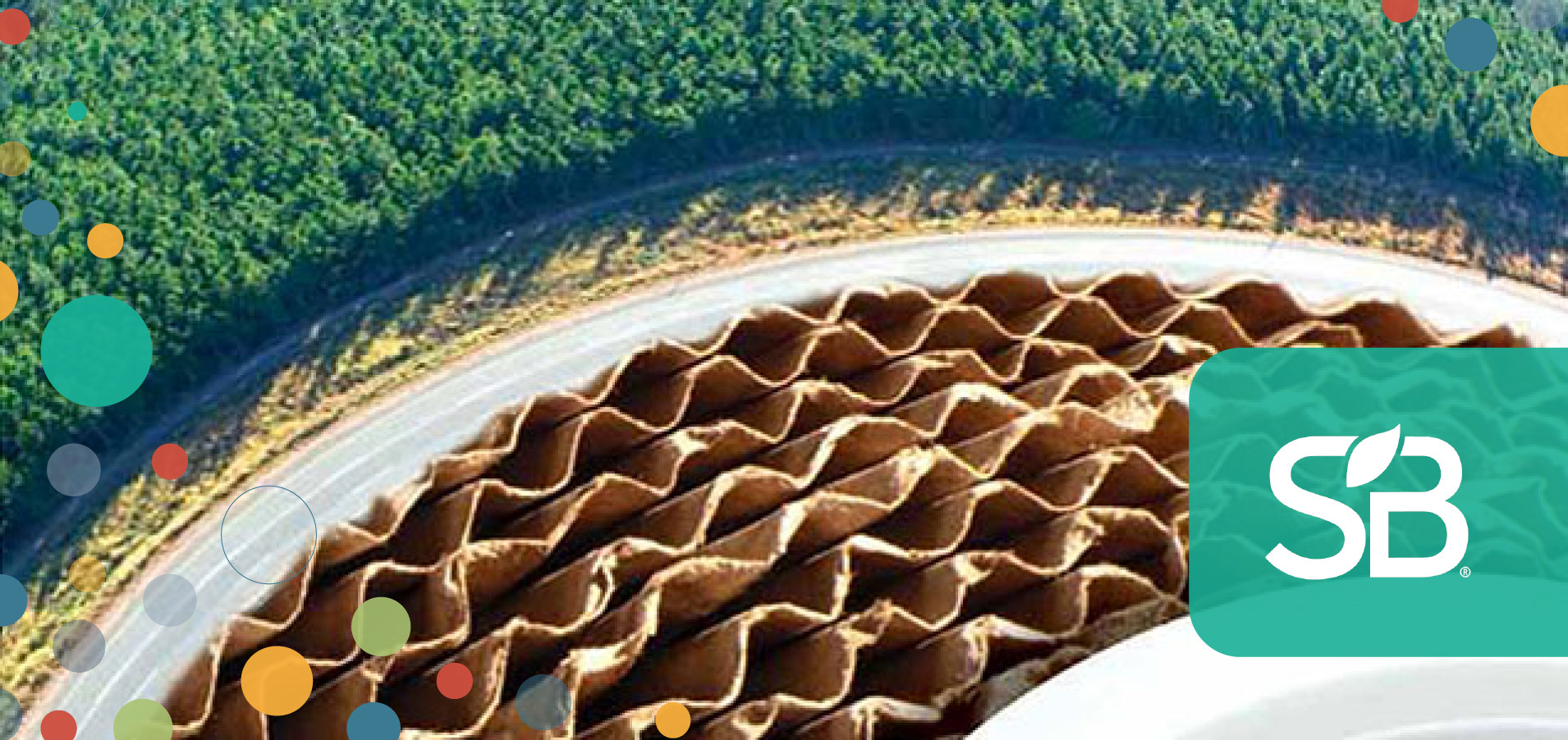 WWF, Mondi Group Partner to Increase Environmental Stewardship in Paper ...