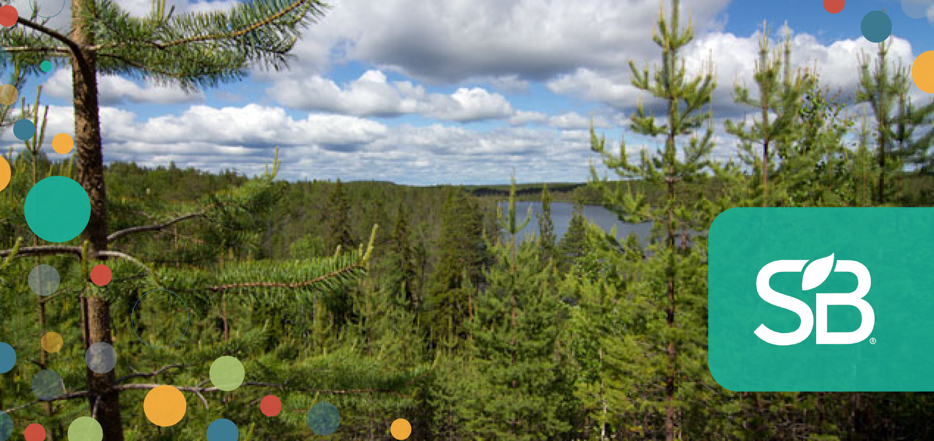 Rainforest Alliance Reinstates IKEA's FSC Certification