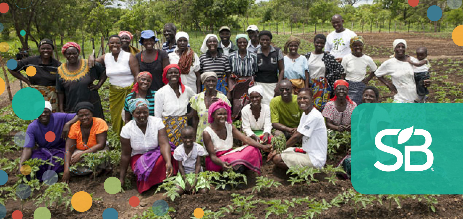 Choosing the Best Sustainable Development Project for Your Business