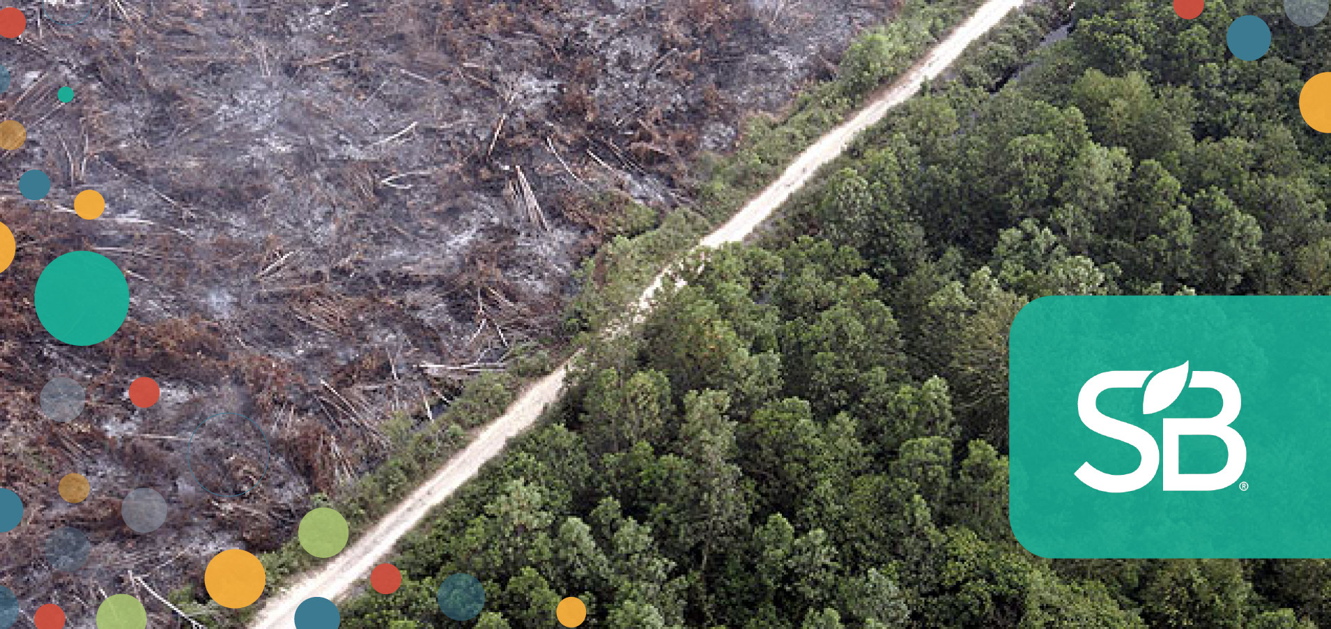 Getting to Zero: Multiple Sectors Convene Around Deforestation at SB ...
